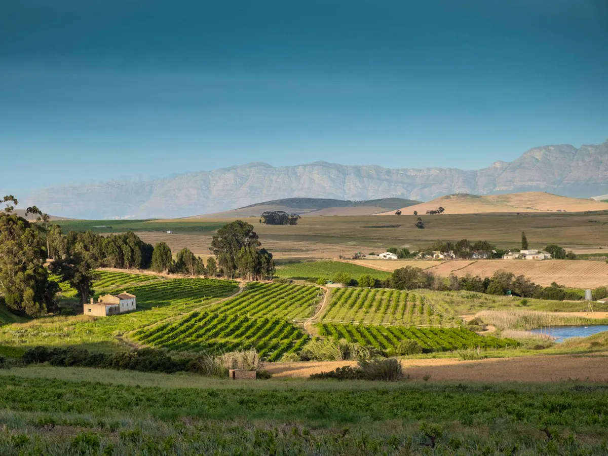 AA Badenhorst Family Wines: Beautiful Farm Cottages in The Swartland Valley
