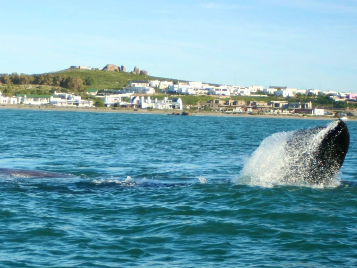 The Cottage Collection Paternoster: Self-Catering Hideaways on The West ...