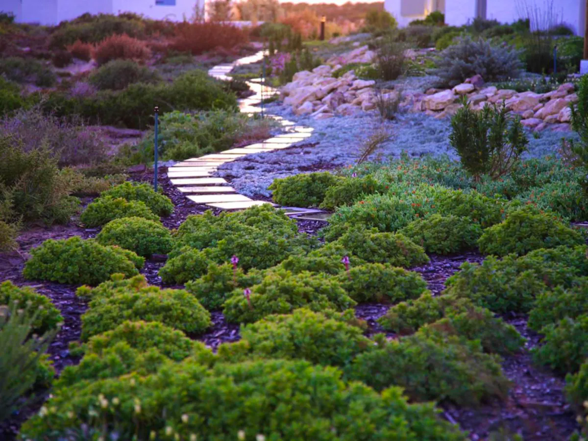 The Cottage Collection Paternoster: Self-Catering Hideaways on The West ...