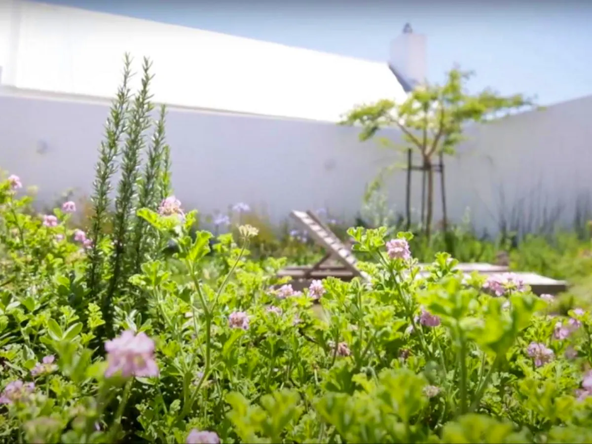 The Cottage Collection Paternoster: Self-Catering Hideaways on The West ...