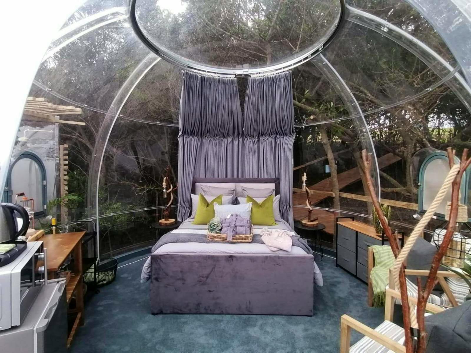 Misty Mountain Reserve Domes: An Immersive Retreat Tucked Away in ...